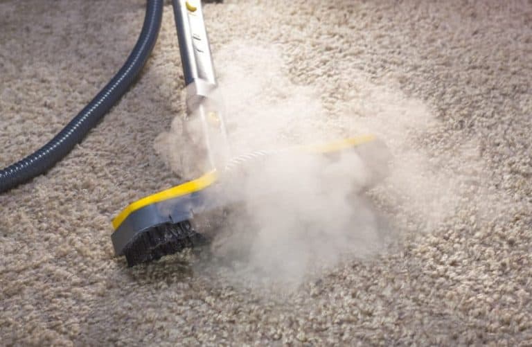 Different Types of Carpet Cleaning Techniques - Prestige Property Services